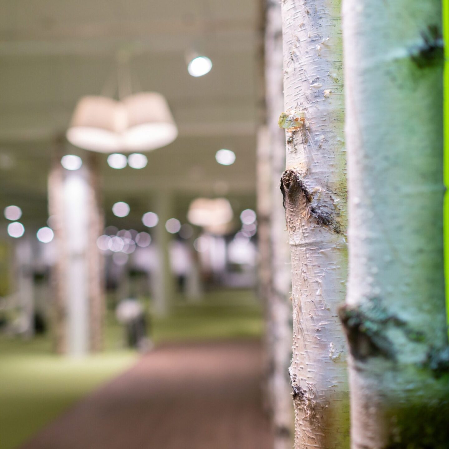 Liikuntakeskus Redi - Redi