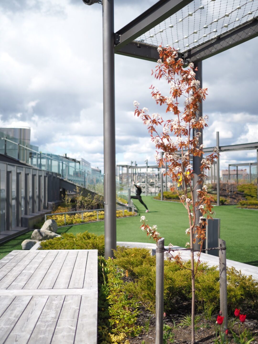 Kesän puistoyogat By Elixia - Redi